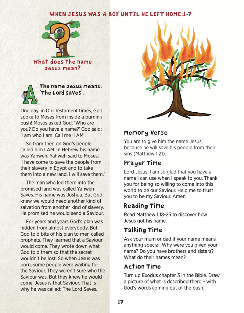 The Big Book of Questions and Answers About Jesus - Store - Truth For Life