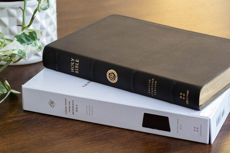ESV Large-Print Bible - Store - Truth For Life