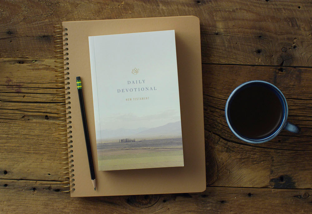 Truth For Life 365 Daily Devotions, Volume 2 & ESV Daily Devotional New ...