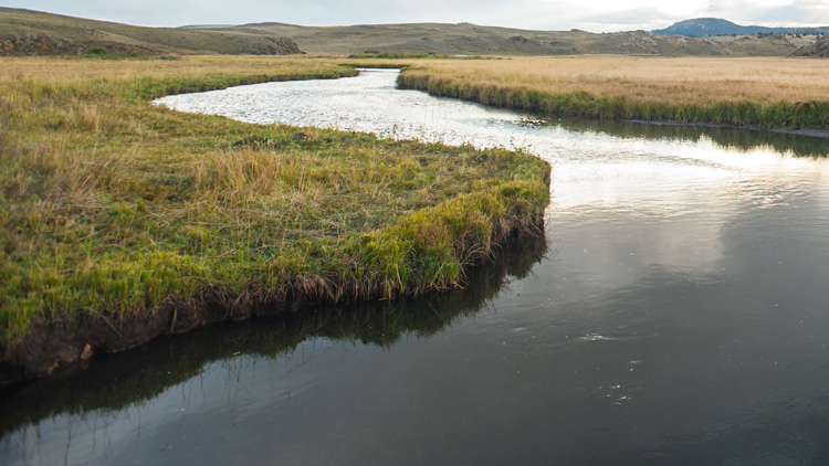 Dwindling Numbers - Archive - Truth For Life